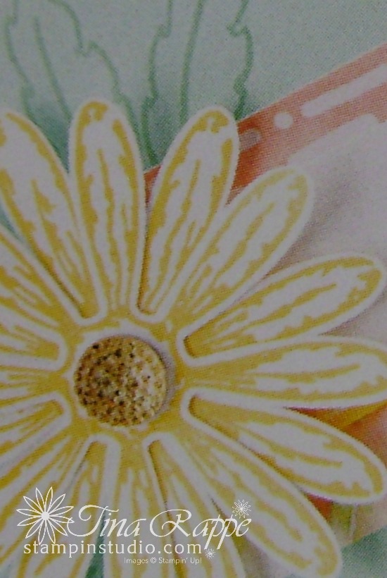 Sneak Peek: Delightful Daisy Suite - Stampin' Studio