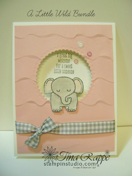 A Little Wild Bundle - Stampin' Studio