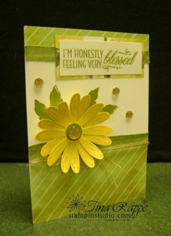 The Versatility of the Delightful Daisy Suite - Stampin' Studio